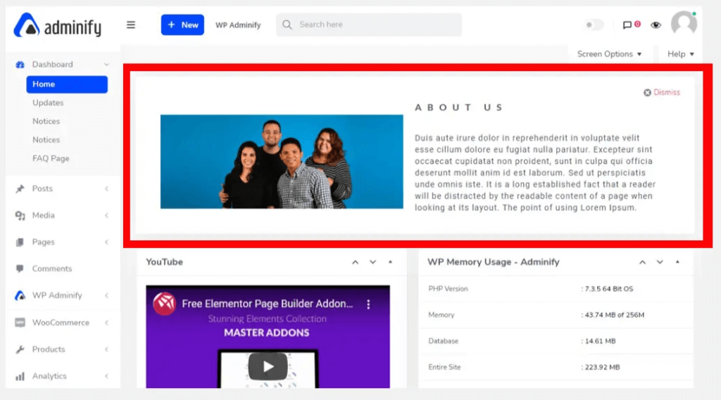 12+ Free WordPress Admin Dashboard Plugin In WP Adminify - Master Addons